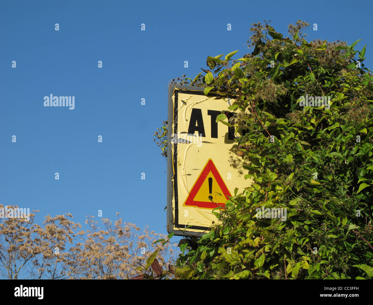 road traffic sign covered with leaves Stock Photo - Alamy