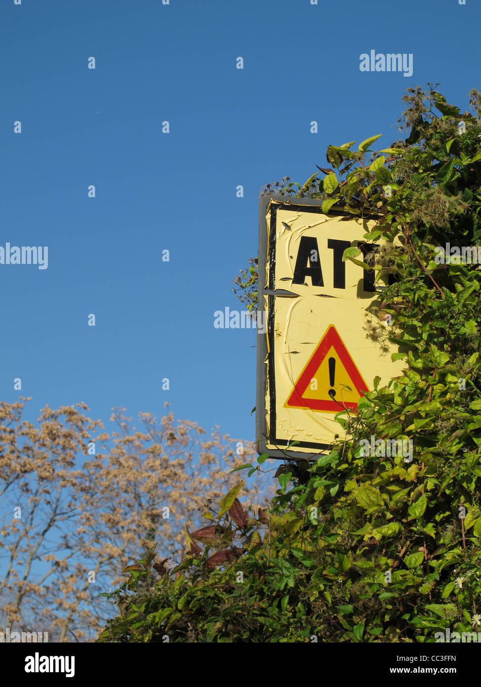 road traffic sign covered with leaves Stock Photo - Alamy