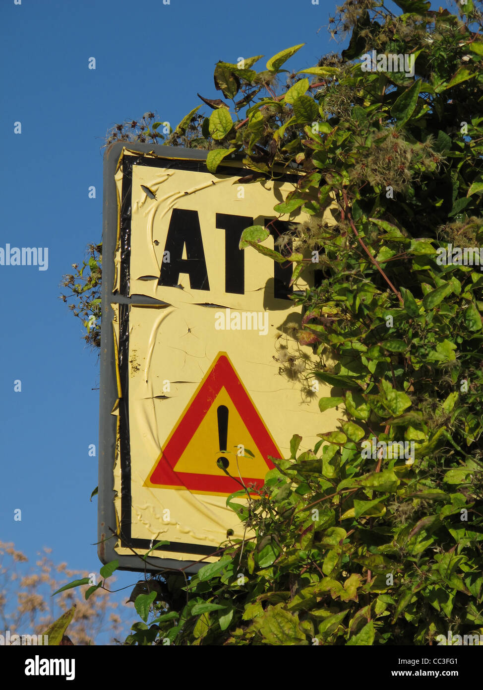 road traffic sign covered with leaves Stock Photo - Alamy