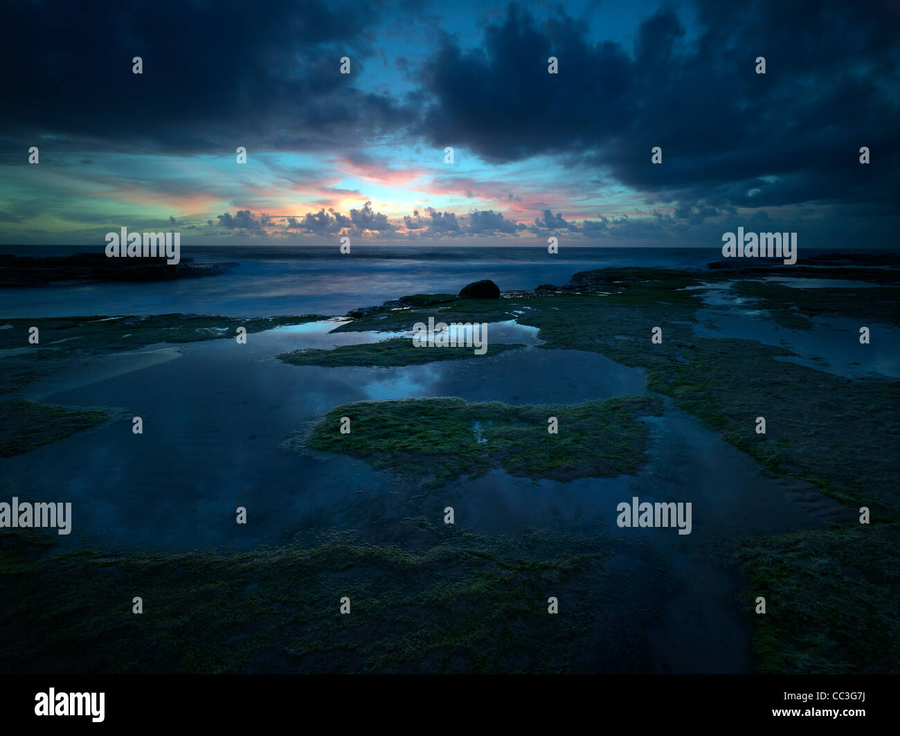 Green Algae covered rock pools, Spring, Wombarra, NSW Australia Stock ...