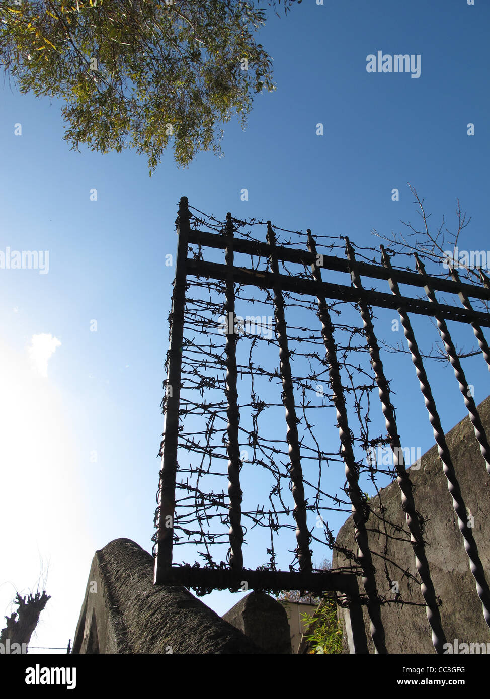 wrought iron fence spikes covered with barbed wire and blue sky Stock ...