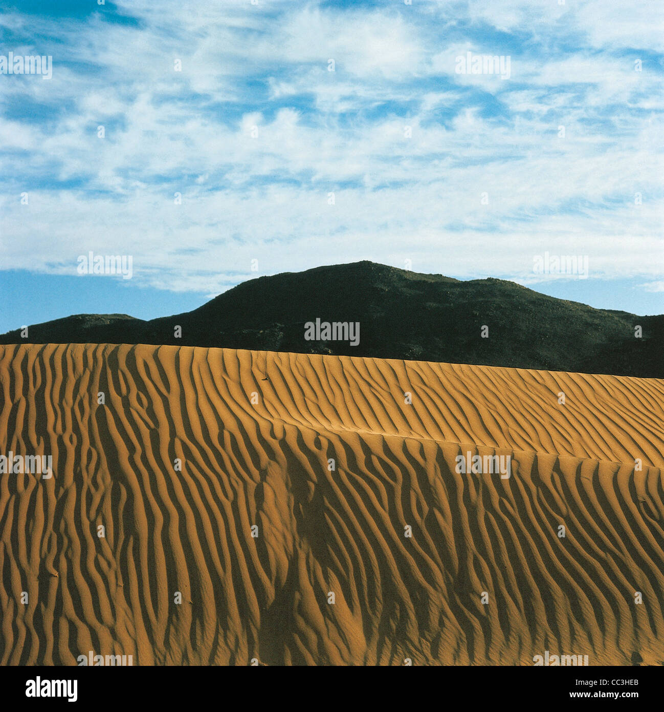 Algeria Sahara At The Oasis In Salah And Between Arak Tamanrasset Stock ...