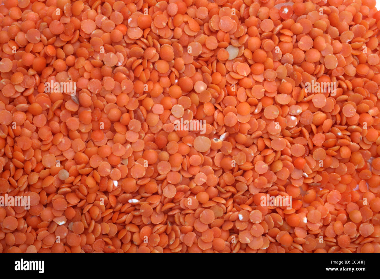 Lentils lens culinaris hi-res stock photography and images - Alamy