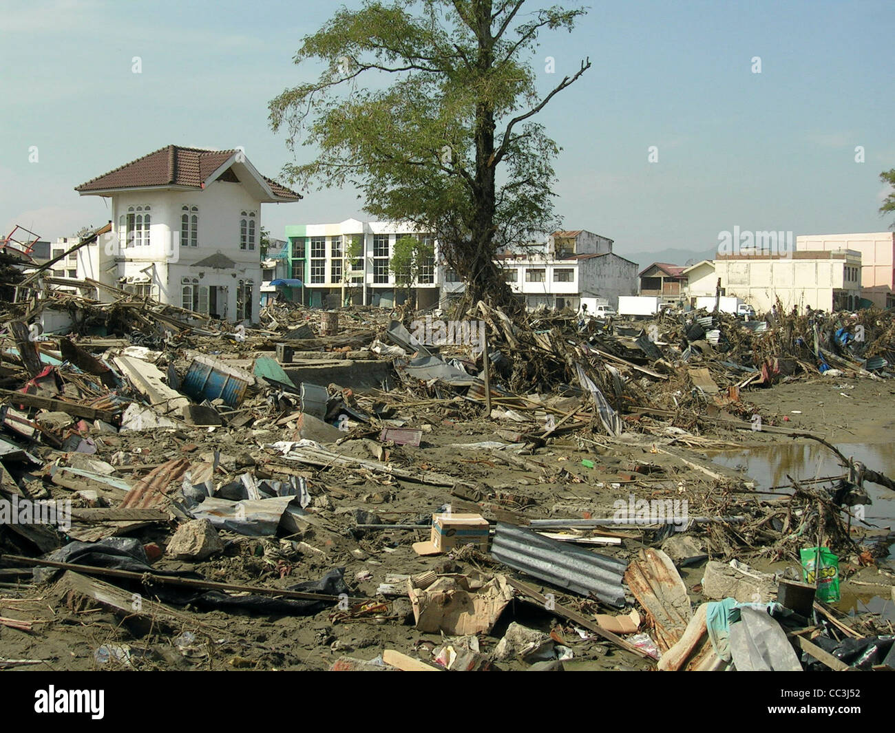 Indonesia - Banda Aceh - The Consequences Of The Tsunami On December ...