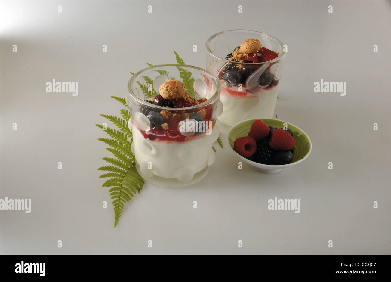 Cooking: Fruits Of The Forest Yoghurt Stock Photo - Alamy