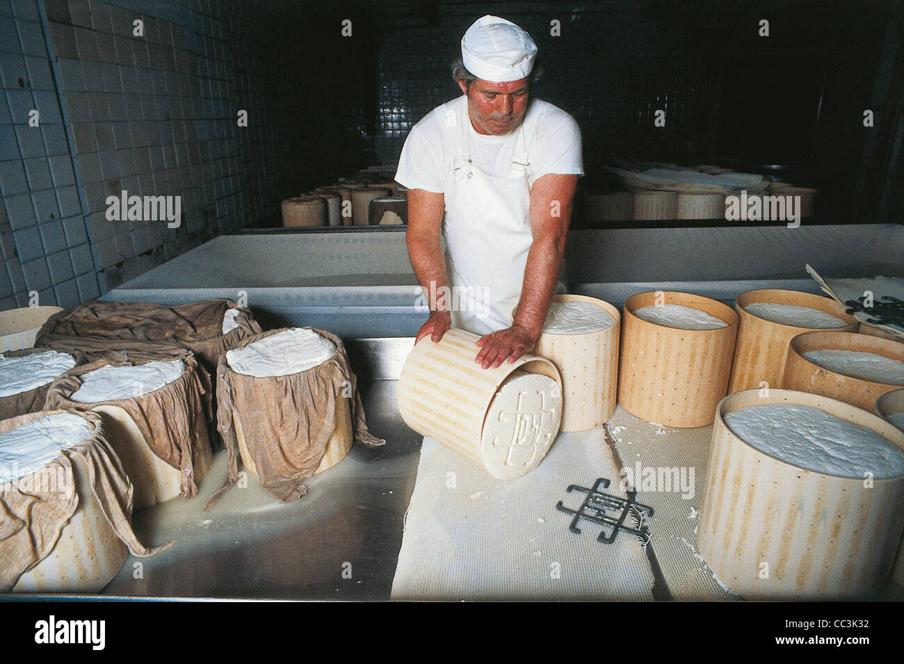 Lombardy Production Of Cheese Gorgonzola Cheese With The Mark The Mark ...