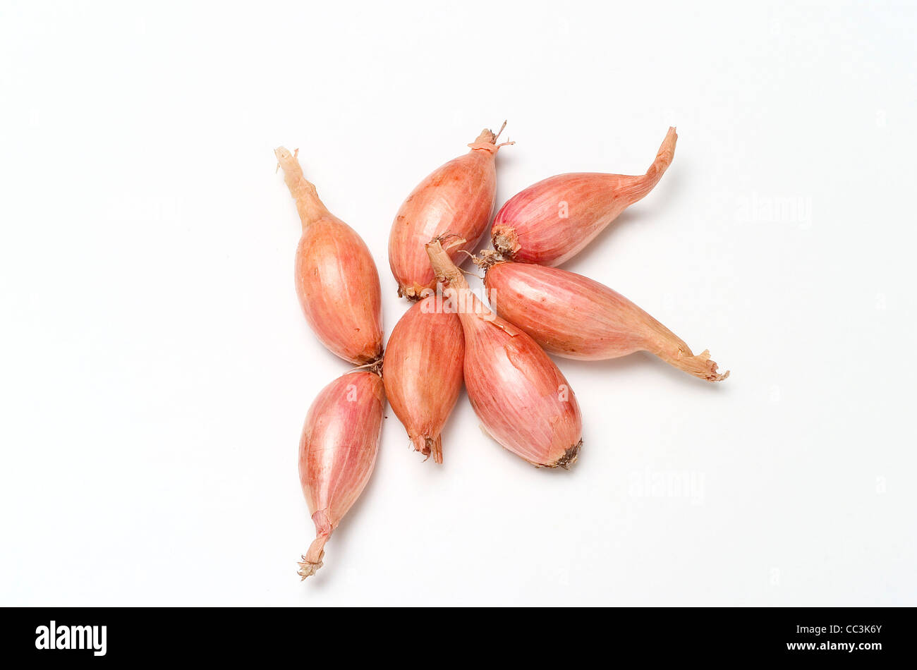 Still Life: Shallot Stock Photo - Alamy