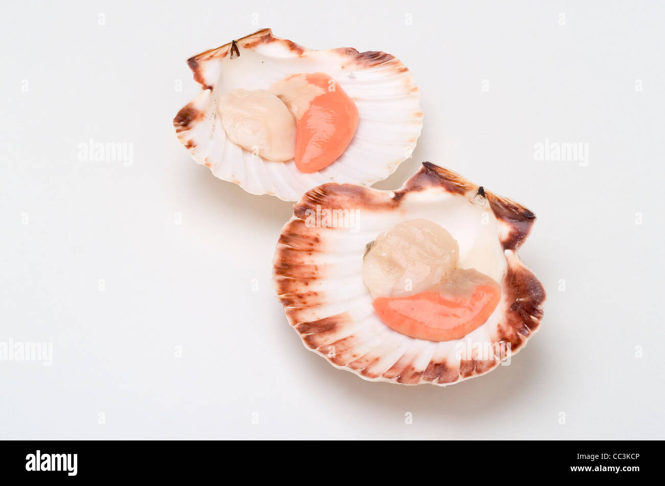 Still Life: Scallops Stock Photo - Alamy