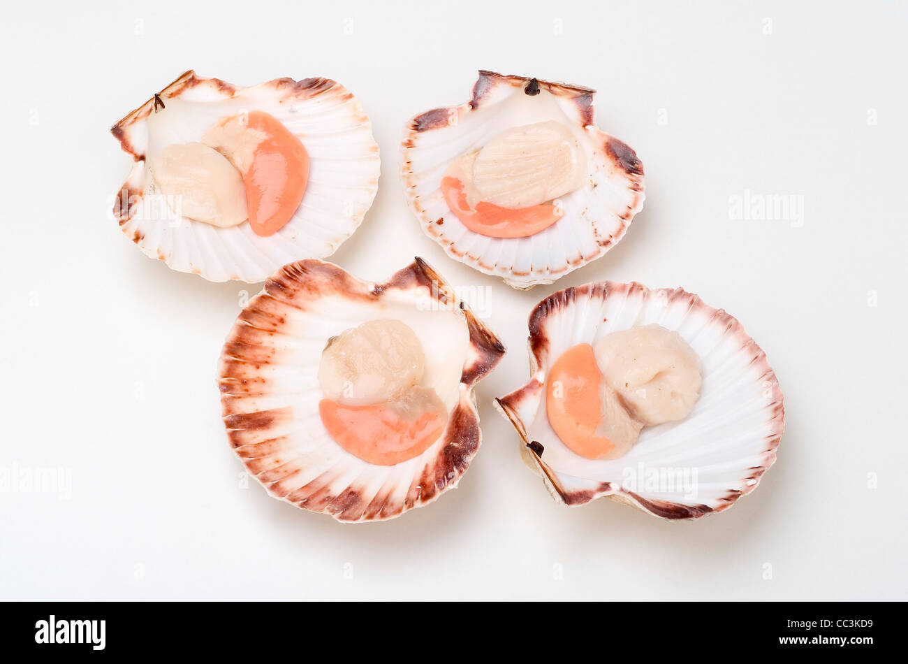 Still Life: Scallops Stock Photo - Alamy