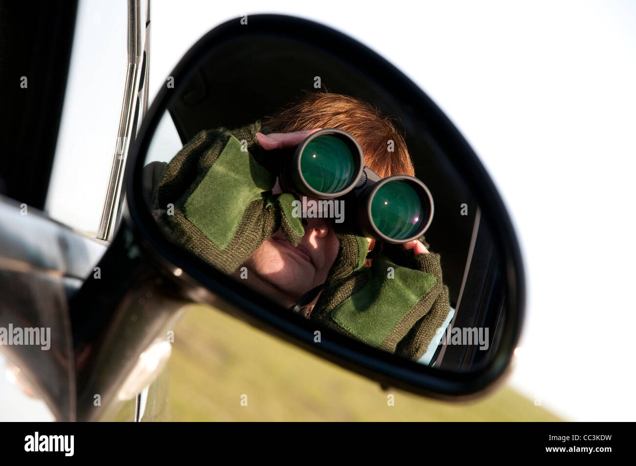 Person in car watching all mirrors hi-res stock photography and images ...