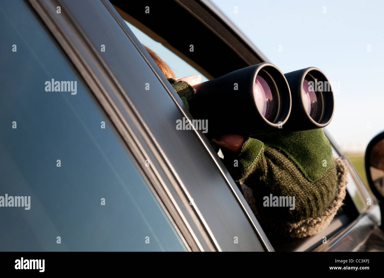 person looking through binoculars sitting inside motor car Stock Photo ...
