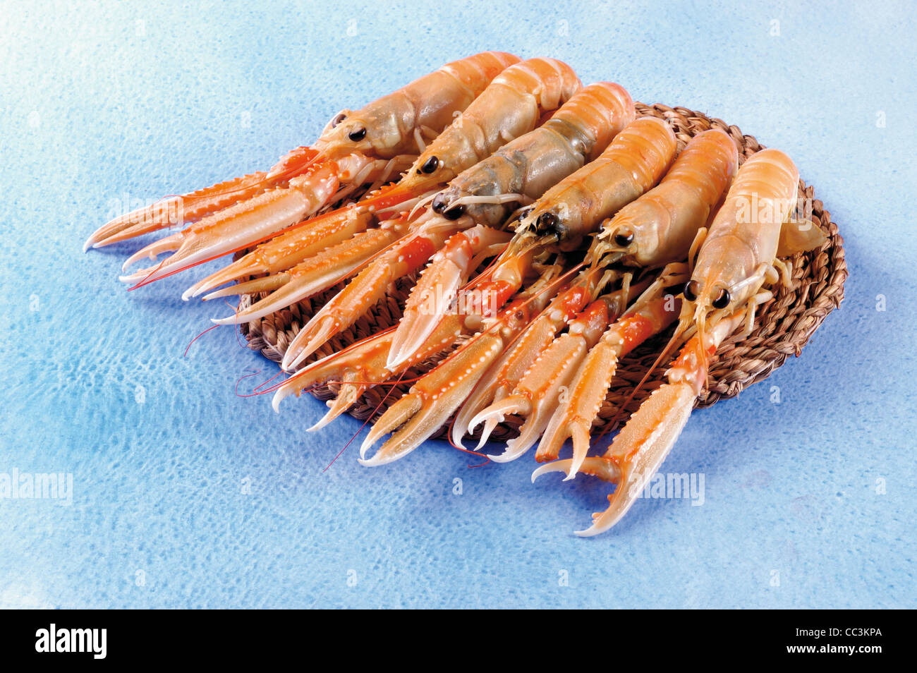 Still Life: Scampi Stock Photo - Alamy