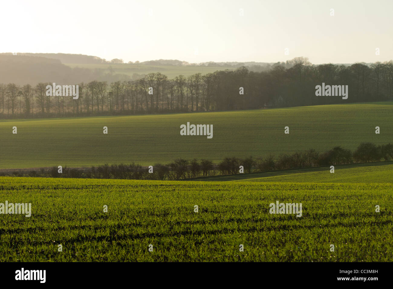 Rolling green grass fields crop hi-res stock photography and images - Alamy