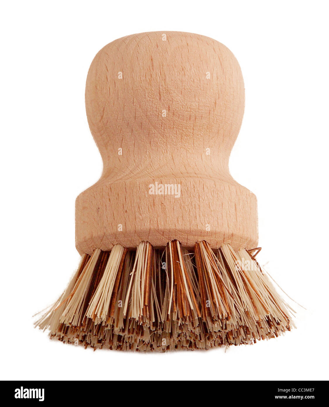 Brush molluscs hi-res stock photography and images - Alamy