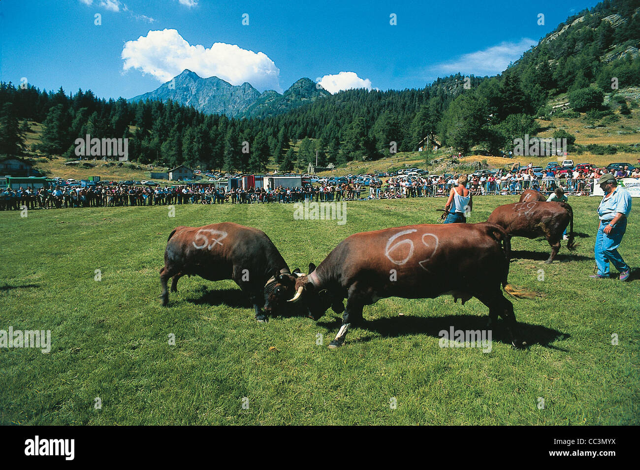 Bataille des hi-res stock photography and images - Alamy