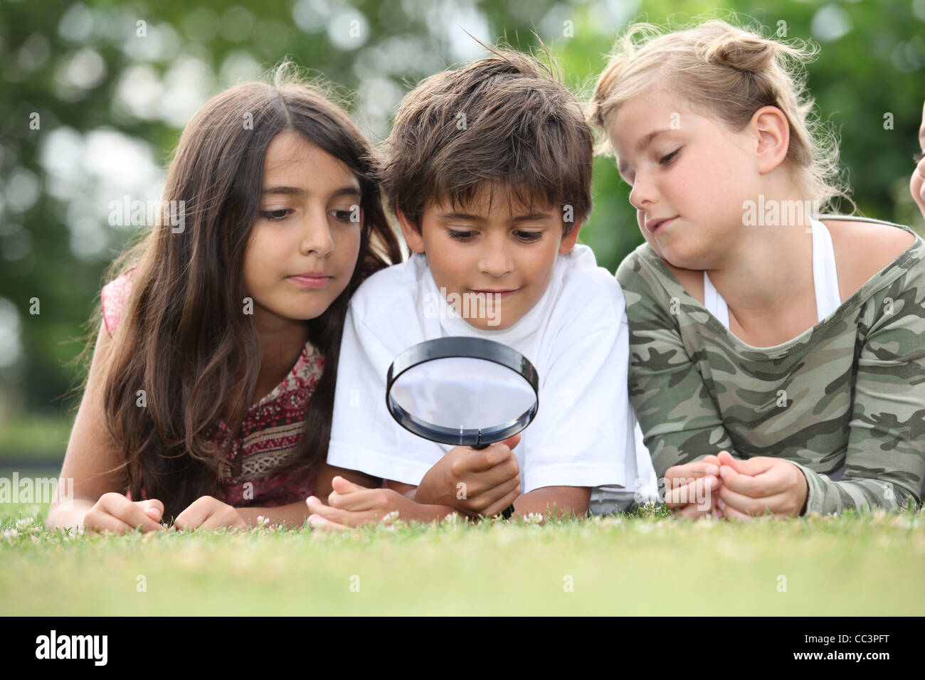 Young boy looking at bugs hi-res stock photography and images - Alamy