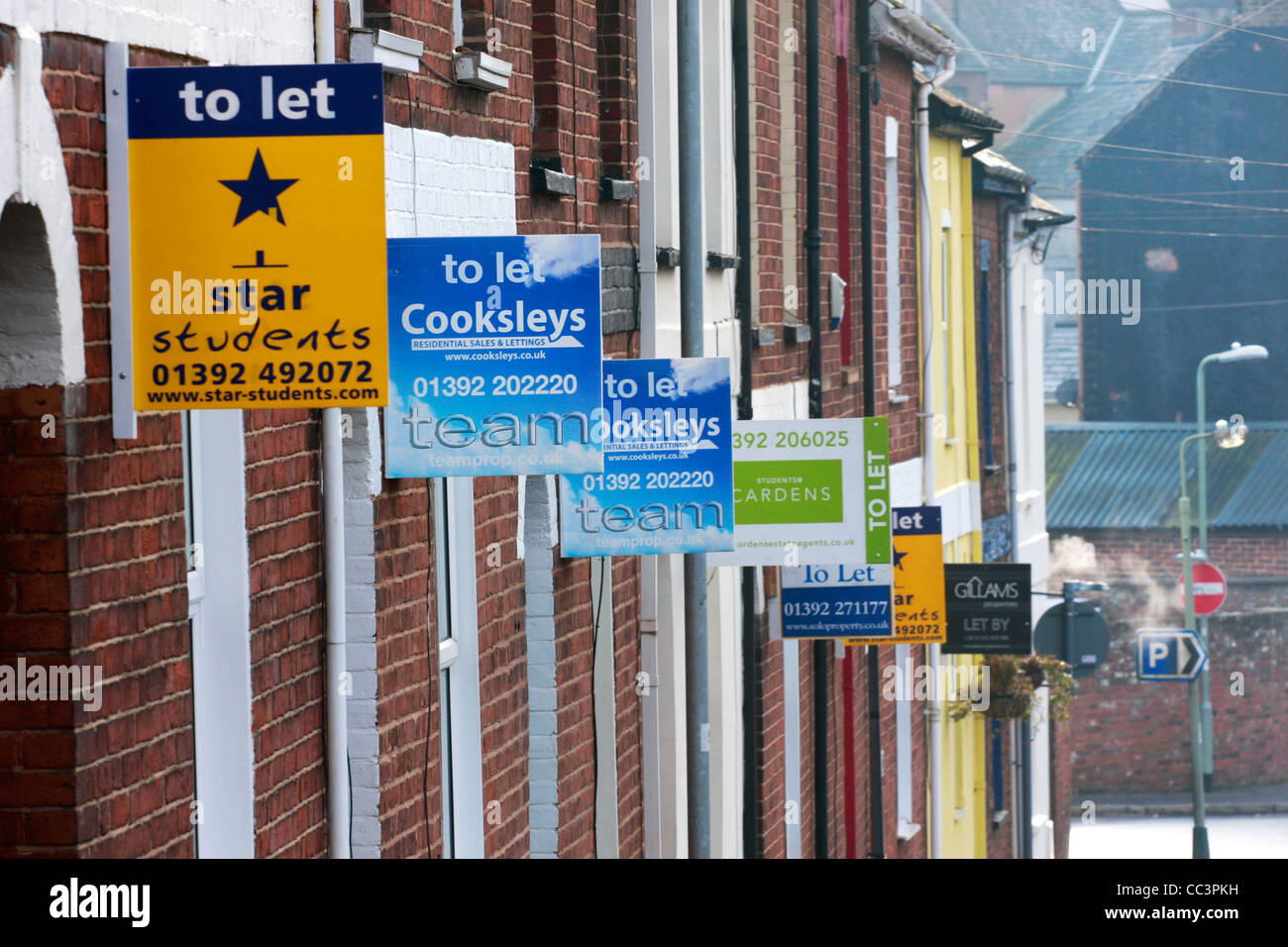 To Let signs for Student housing on a street in Exeter Stock Photo - Alamy