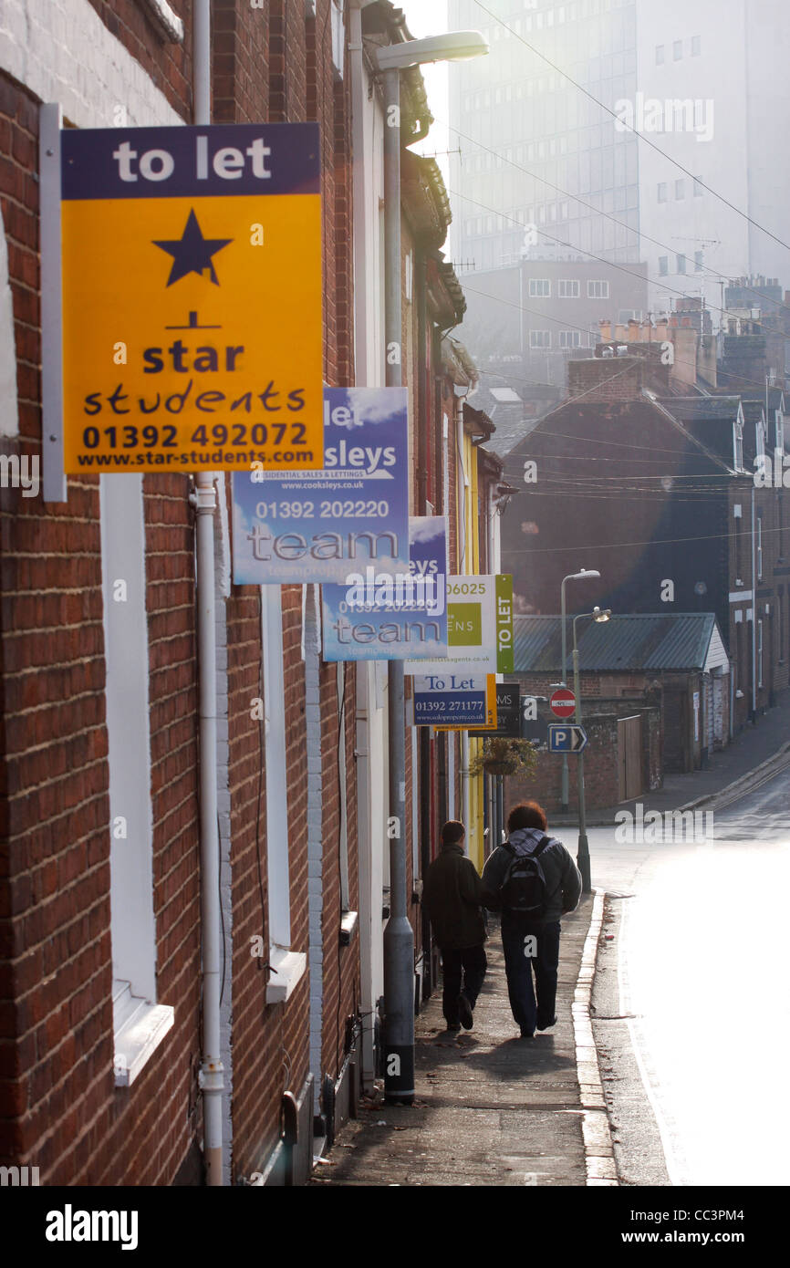 To Let signs for Student housing on a street in Exeter Stock Photo - Alamy