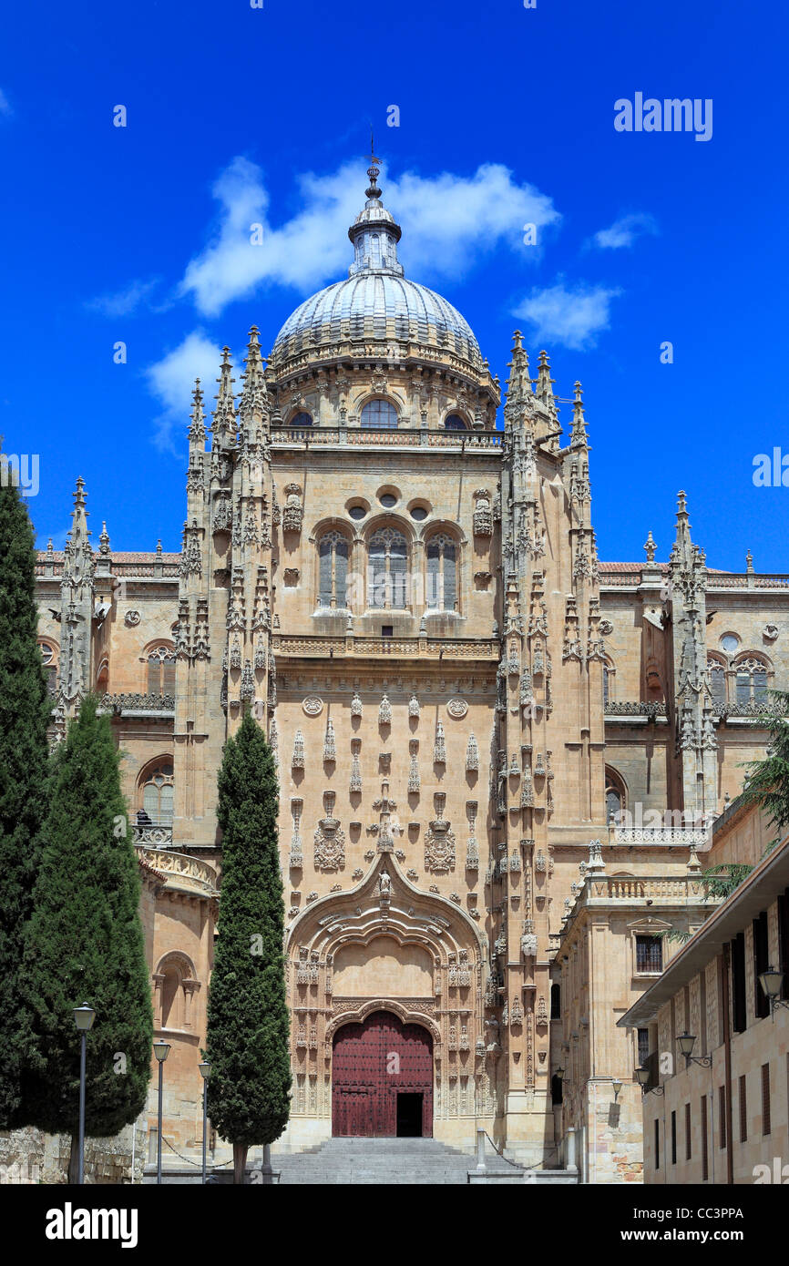 New Cathedral (Catedral Nueva), Salamanca, Castile and Leon, Spain ...