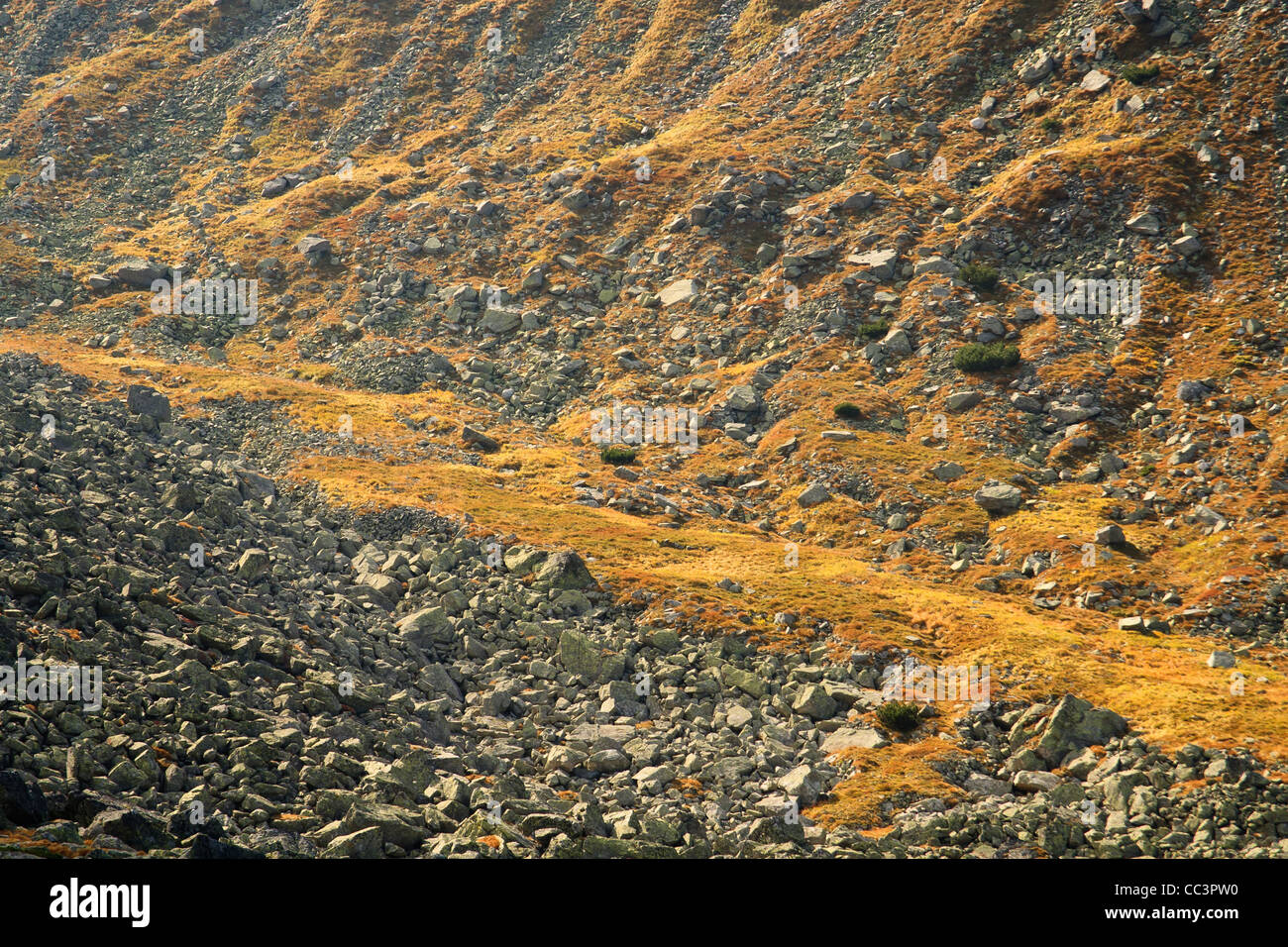 Scree slope hi-res stock photography and images - Alamy