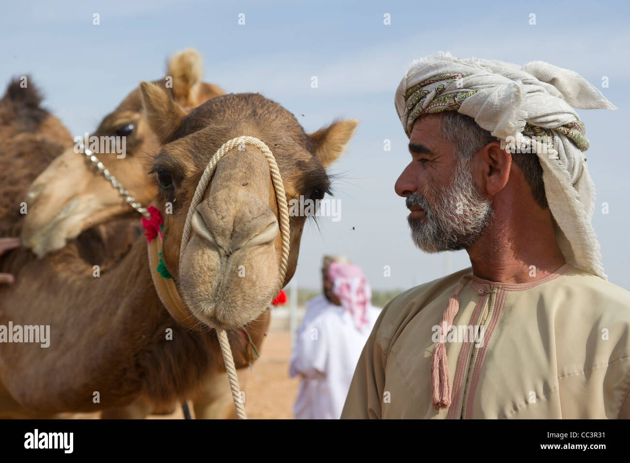 A Camel owner and one of his camels Stock Photo - Alamy
