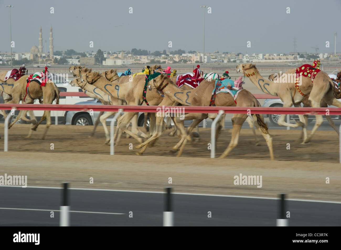 Camel Racing. Abu Dhabi, United Arab Emirates Stock Photo - Alamy