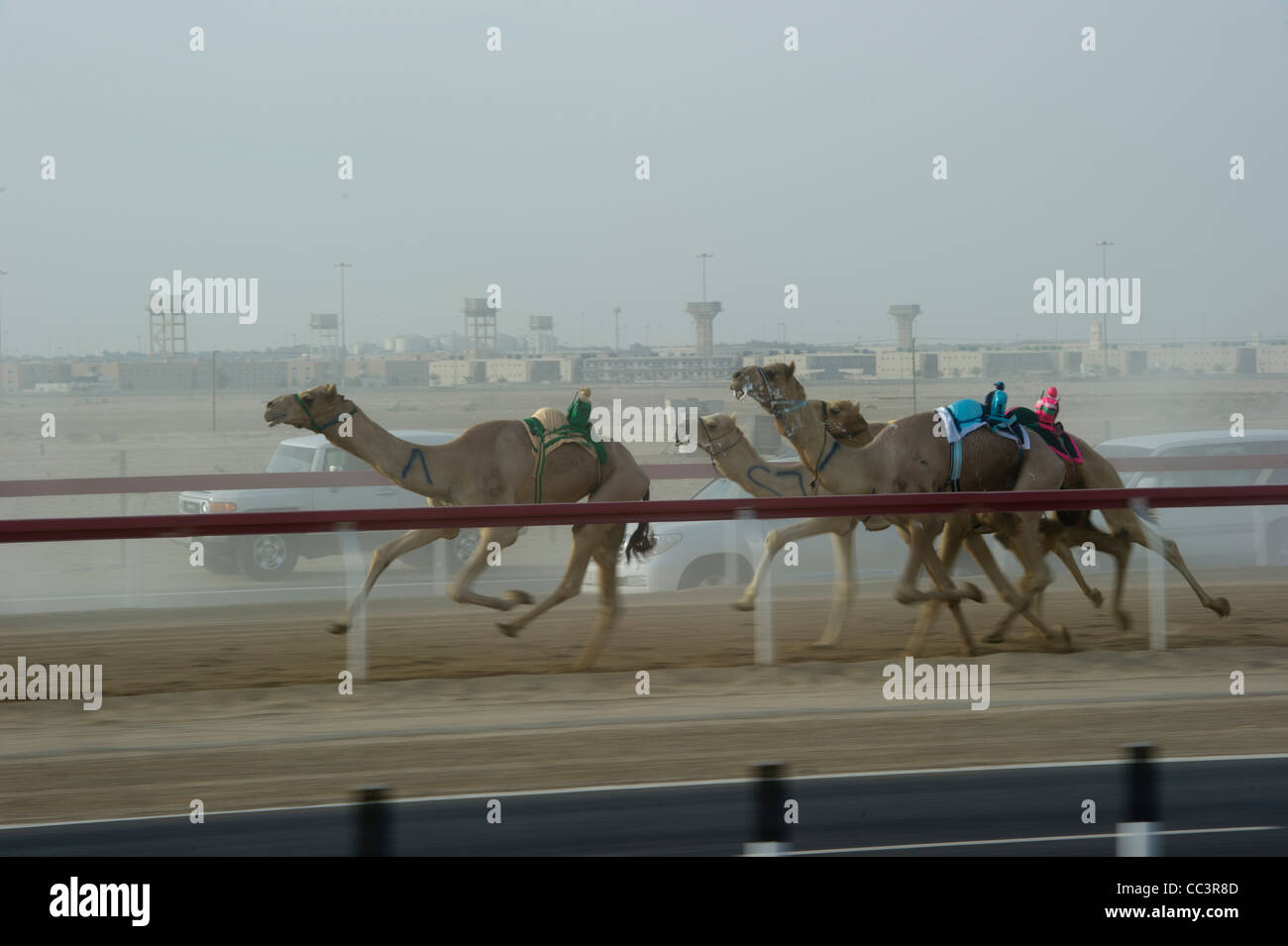 Camel Racing. Abu Dhabi, United Arab Emirates. 5/1/2012 Stock Photo - Alamy