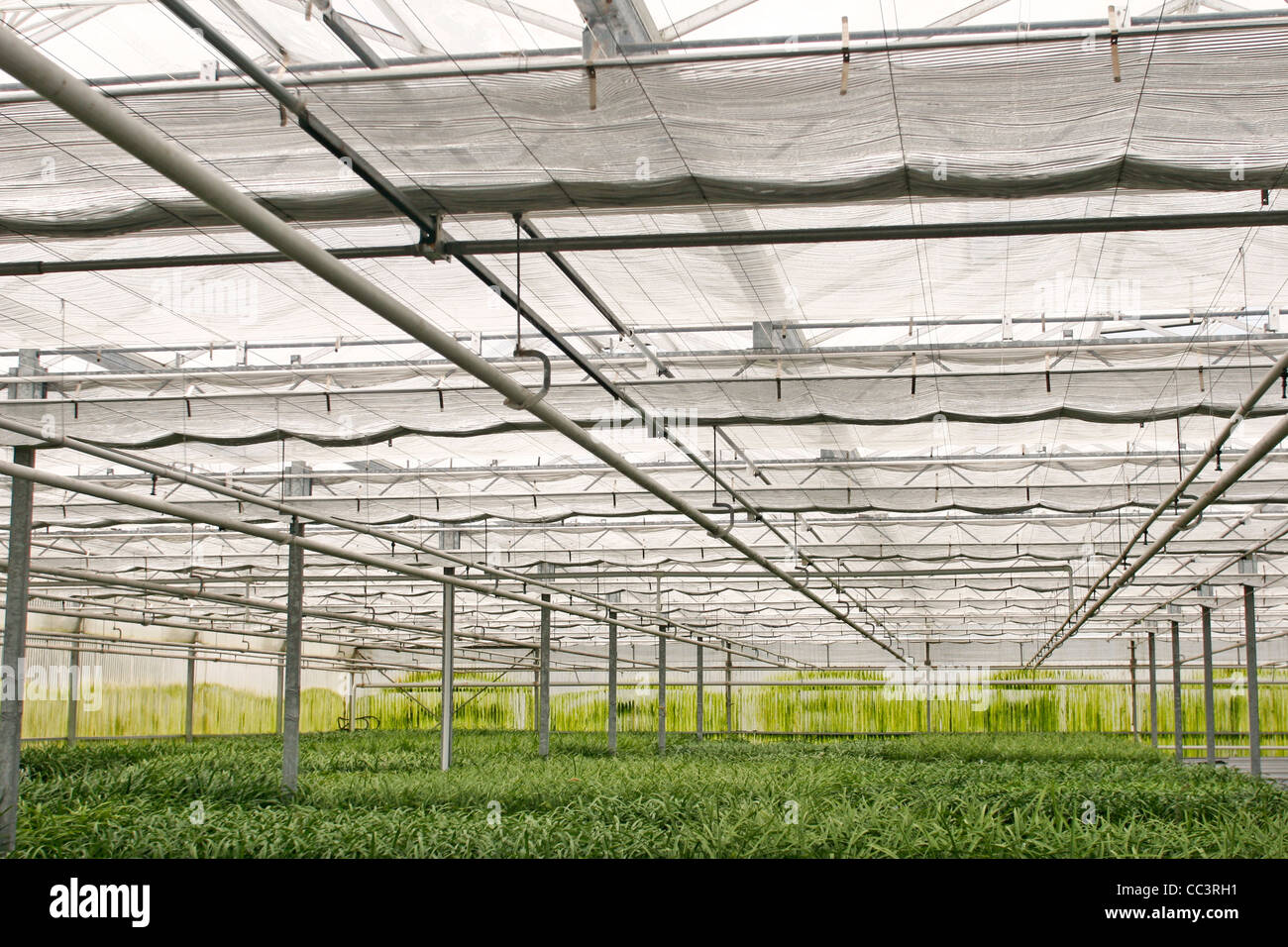 Greenhouse ventilation hi-res stock photography and images - Alamy