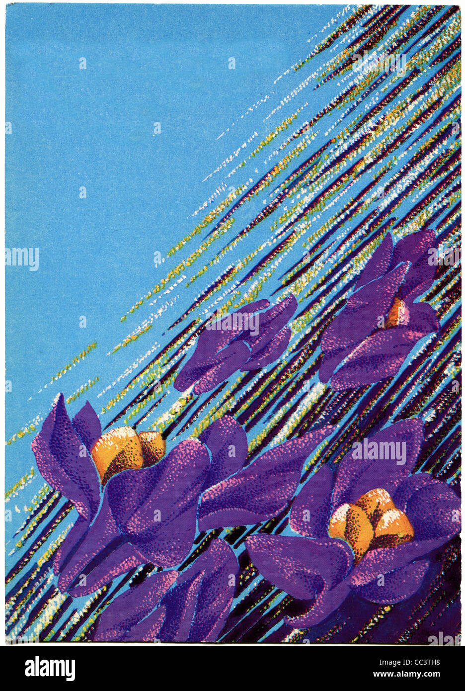 USSR - CIRCA 1986: Postcard printed in the USSR shows Irises, artist ...