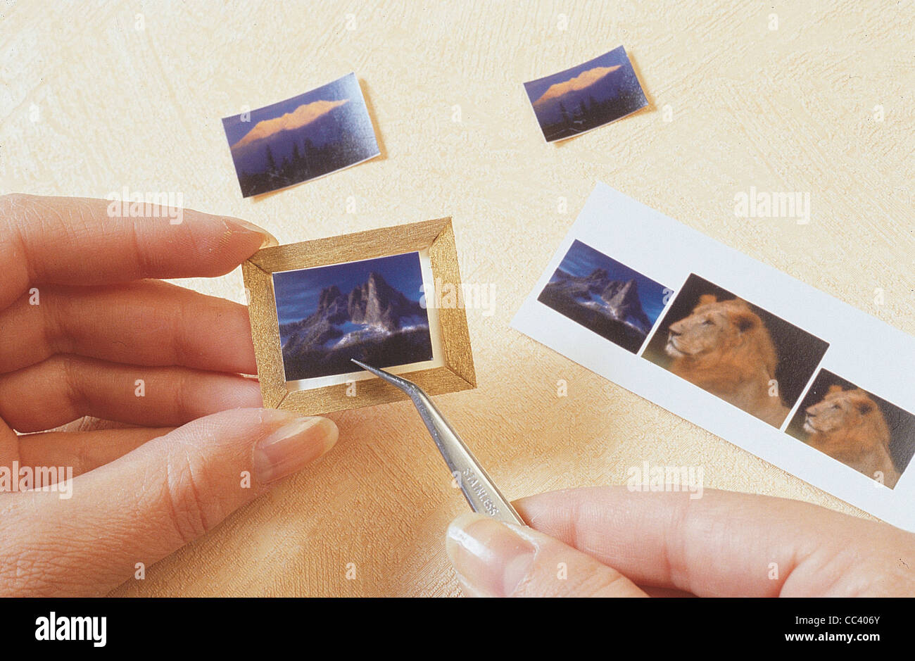 Collecting: Shops In Miniature Golden Frame Shop Frame Construction ...