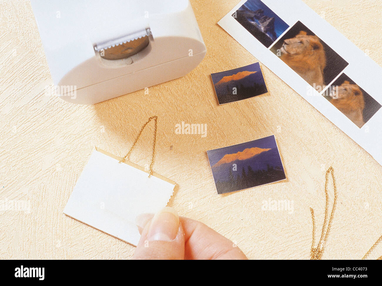 Collecting: Shops In Miniature Golden Frame Shop Frame Construction ...