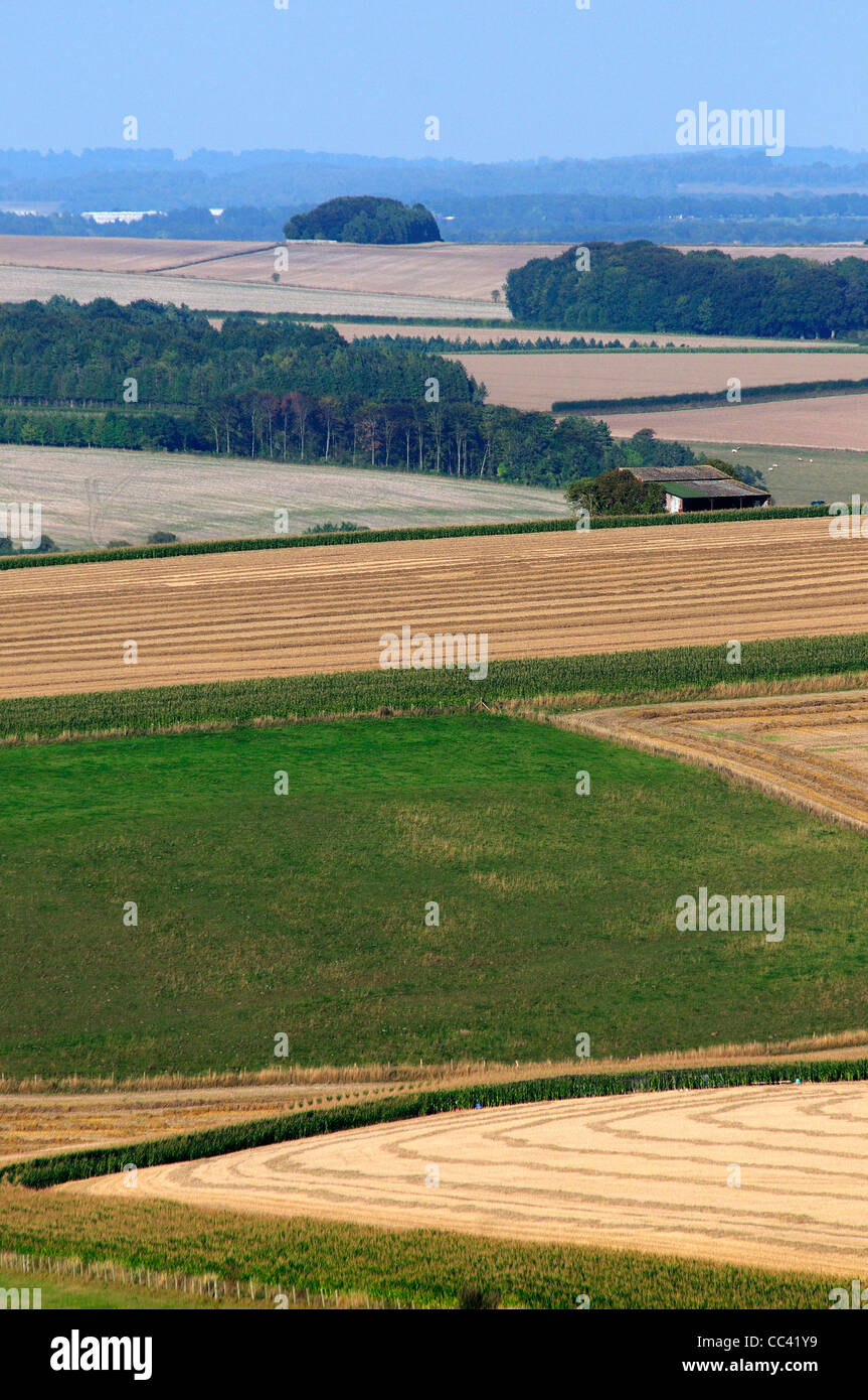 An agricultural view at Wylye Down Wiltshire UK Stock Photo - Alamy
