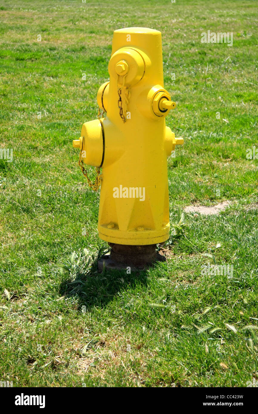 Yellow hydrant on green grass Stock Photo - Alamy