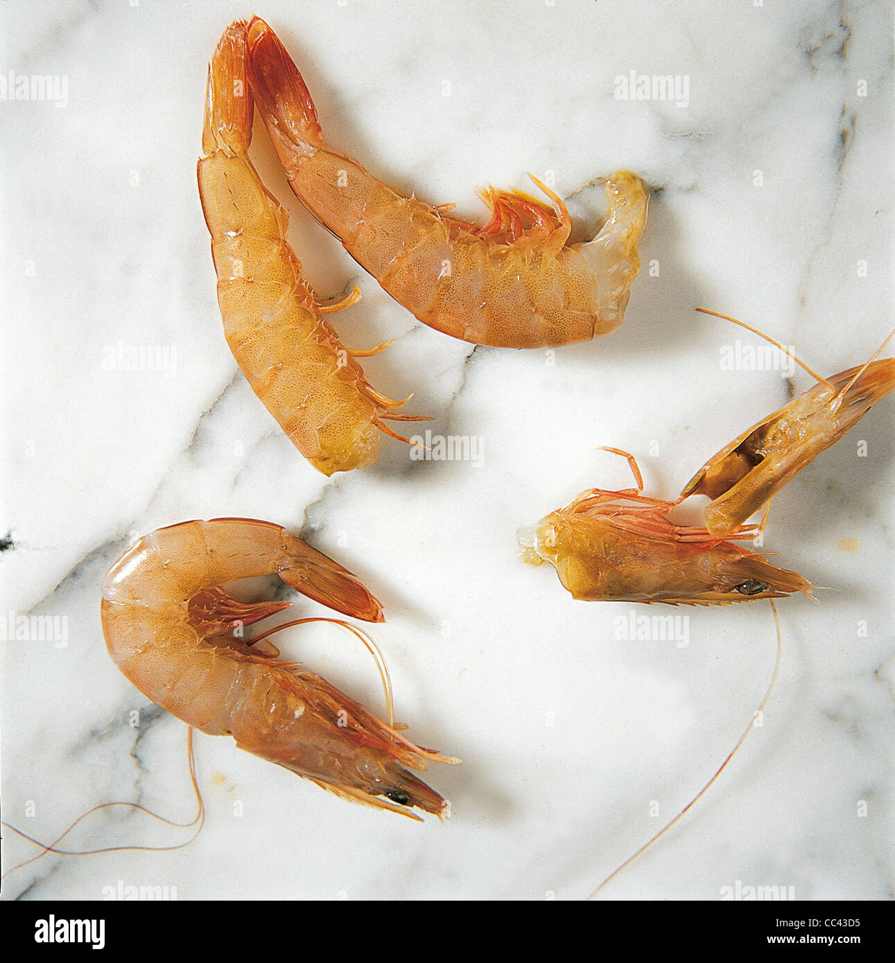 Shell crabs hi-res stock photography and images - Alamy