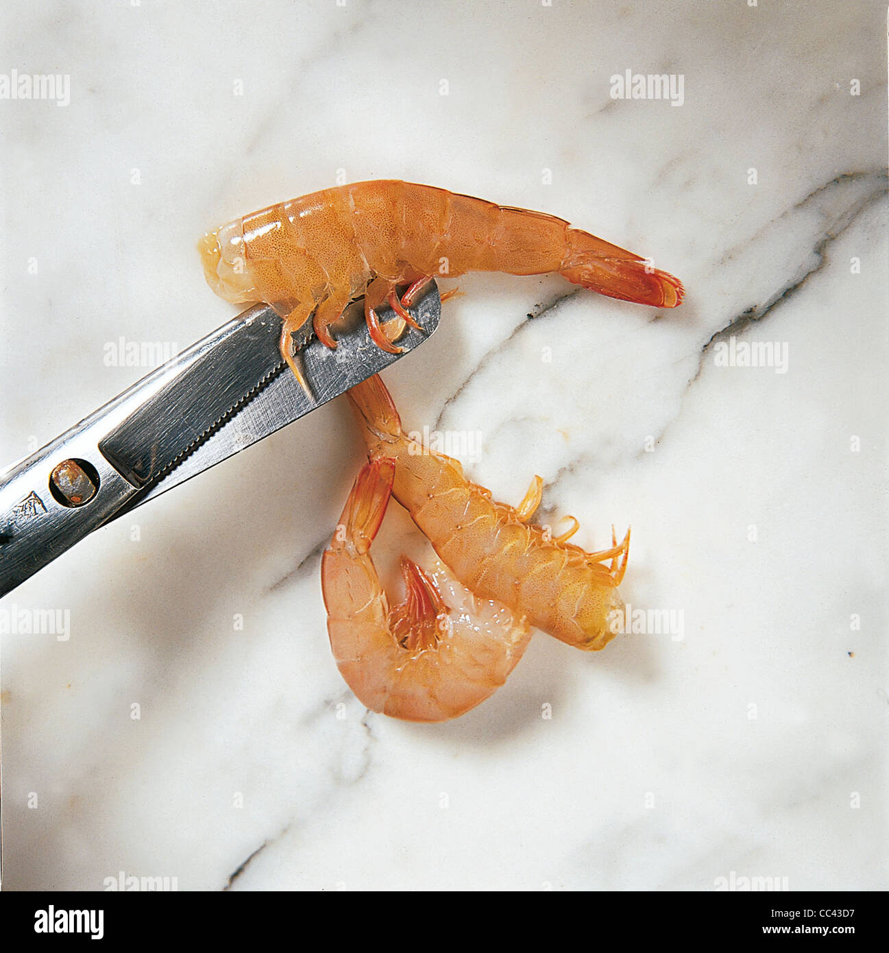 Cleaning shrimp shell 2 hi-res stock photography and images - Alamy
