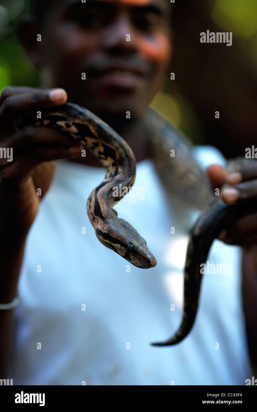 Snake around neck hi-res stock photography and images - Alamy