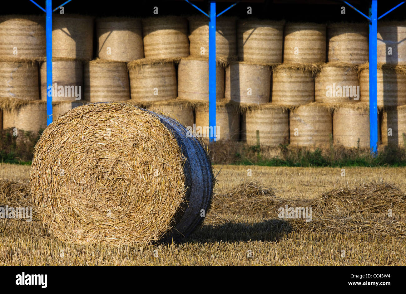 Storing Round Bales