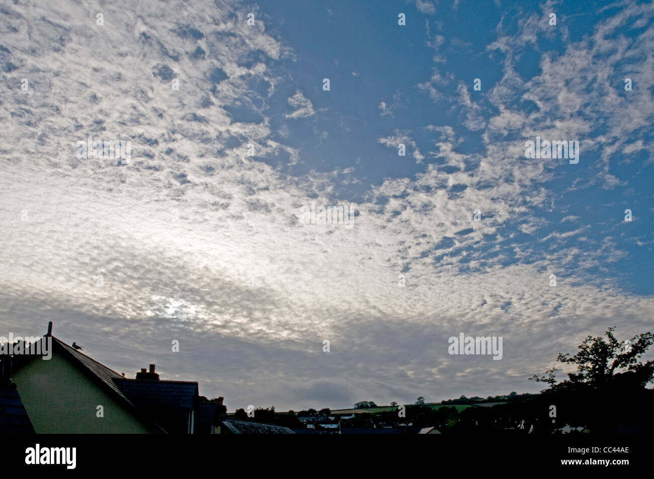 Altocumulus around sunset over Bradninch, Devon Stock Photo - Alamy