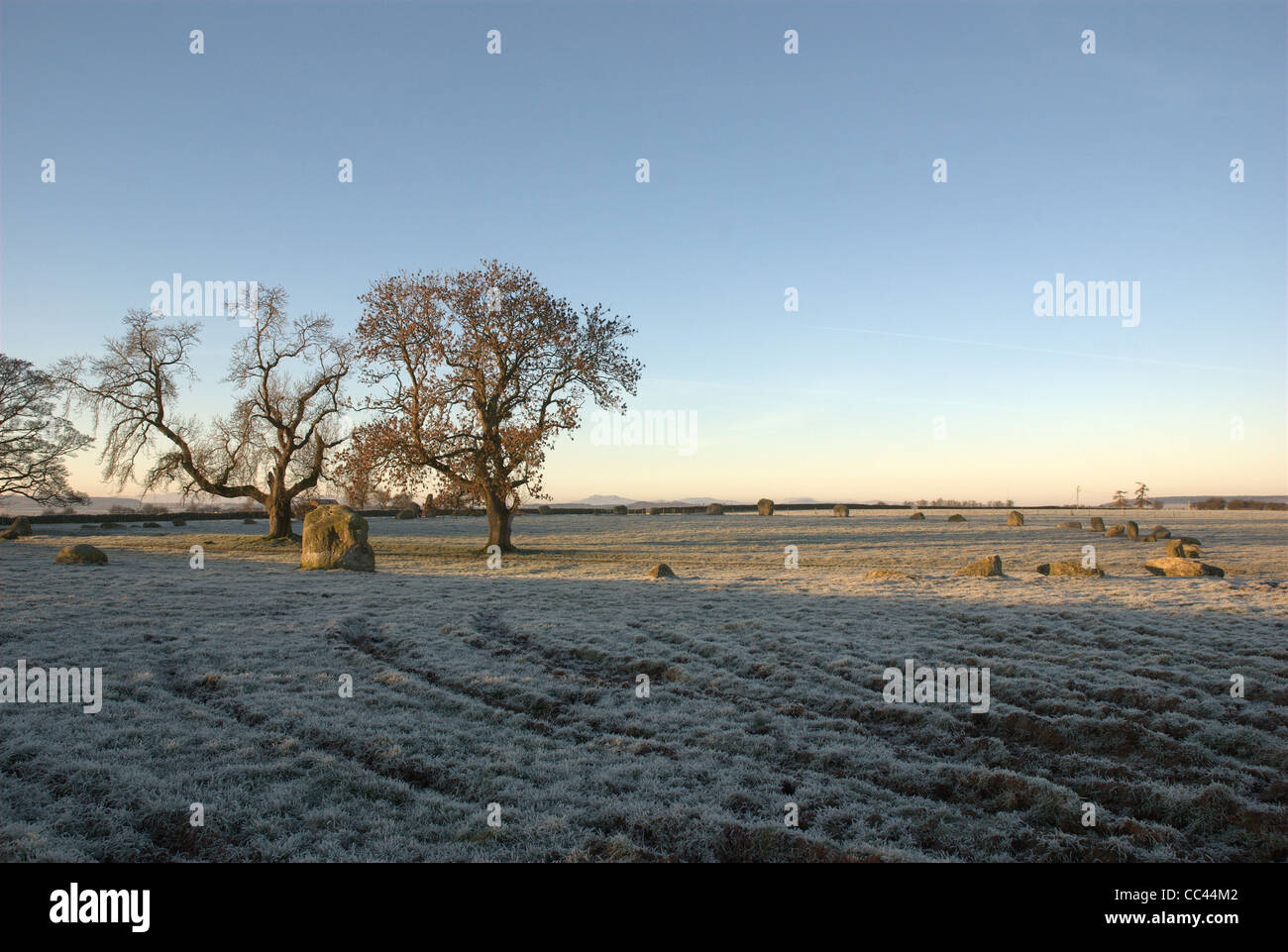 Long meg stone circle Stock Photo - Alamy