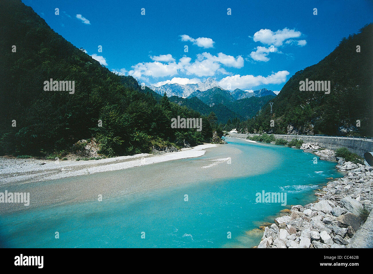 Celline hi-res stock photography and images - Alamy