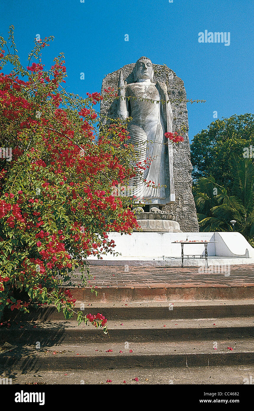 Sri Lanka - Colombo, Statue Of Buddha In Front Of The Conference Hall ...