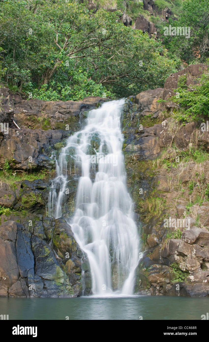 USA, HI, Oahu, Waimea Valley, Waimea Falls Stock Photo - Alamy