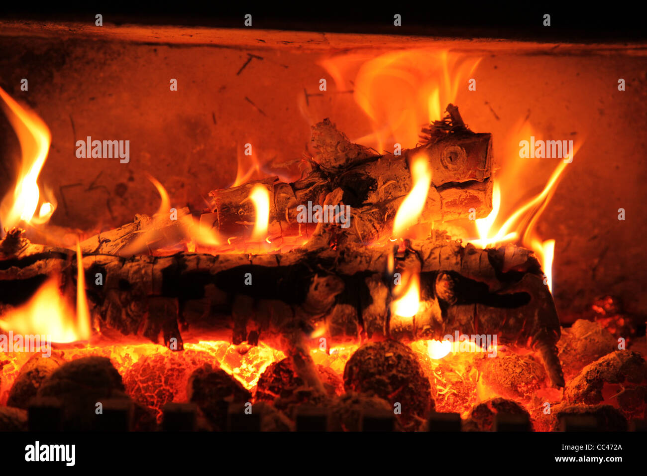 Fire lizard hi-res stock photography and images - Alamy