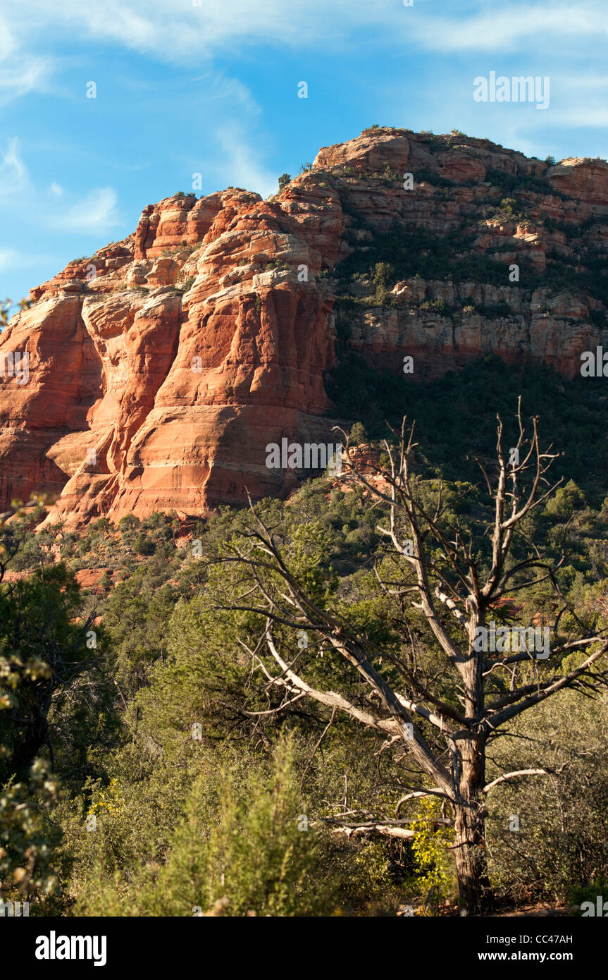 Sedona Arizona landscape Stock Photo - Alamy