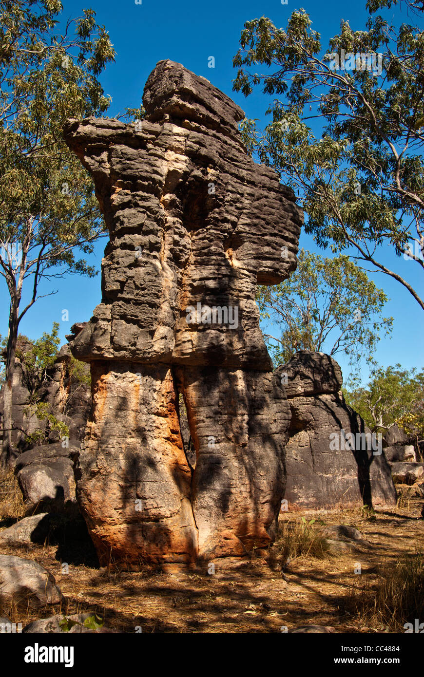 ROCK FORMATIONS, THE LOST CITY, LITCHFIELD NATIONAL PARK, NORTHERN ...