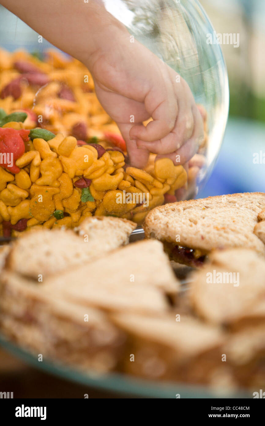 Child's hand getting fish crackers out of snack bowl. (MR Stock Photo ...
