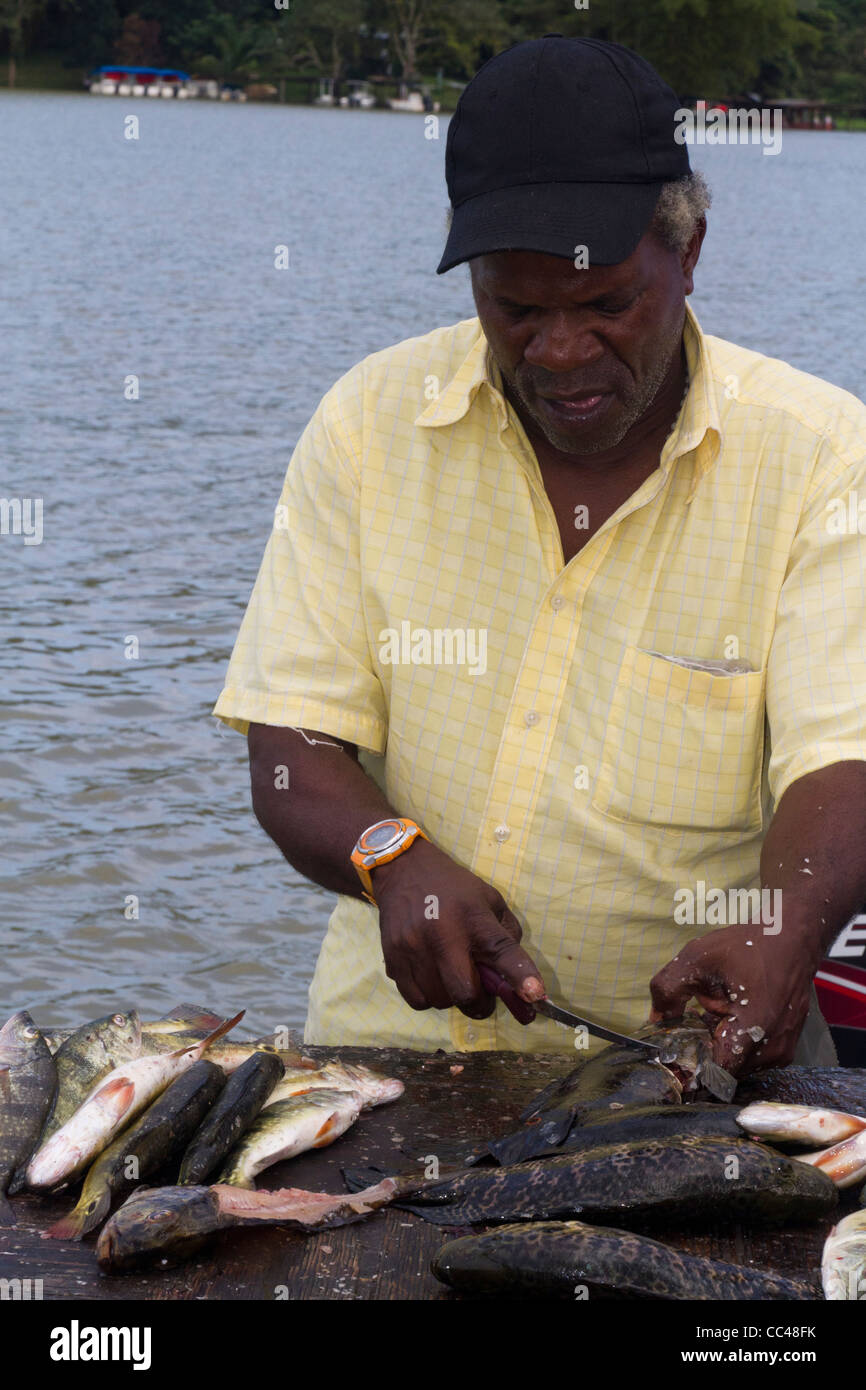 Man cleans and fillets fish for the sport fishermen at Gamboa Lake ...