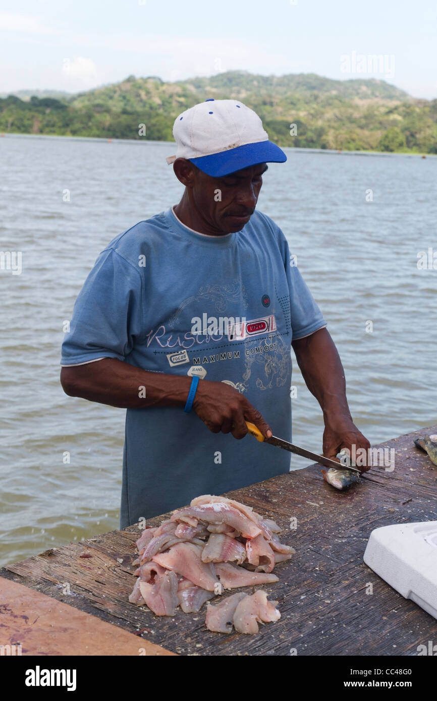 Panama sports fishing hi-res stock photography and images - Alamy