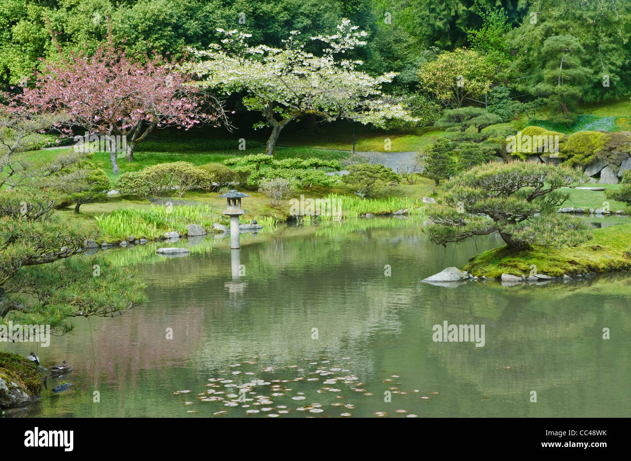 Seattle wa arboretum hi-res stock photography and images - Alamy