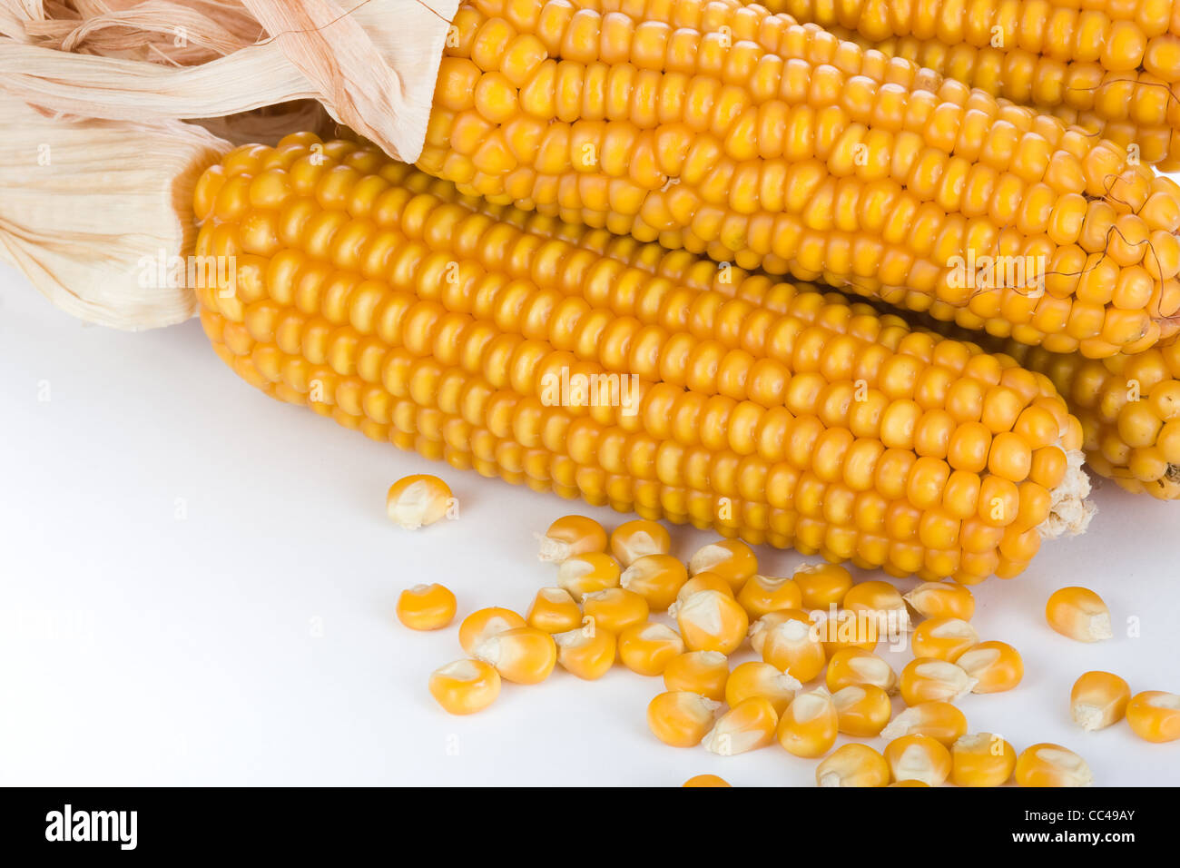 Ripe corn against bright background Stock Photo - Alamy
